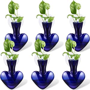Amazon.com: Maxdot 6 Pcs Wall Hanging Window Propagation Stations Glass ...