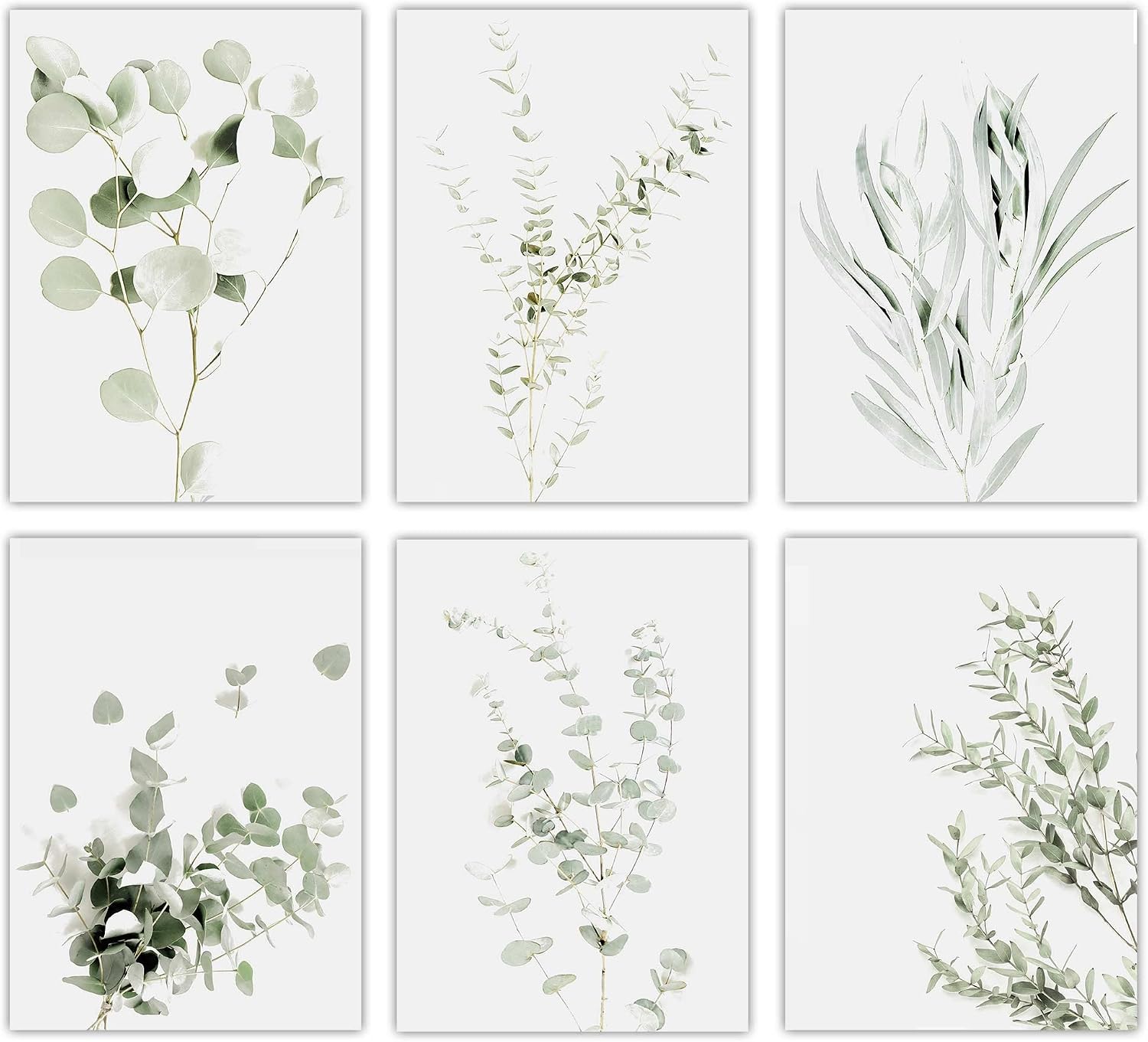 Amazon.com: Canssape Set of 6 Botanical Wall Art Prints 8"x10 ...