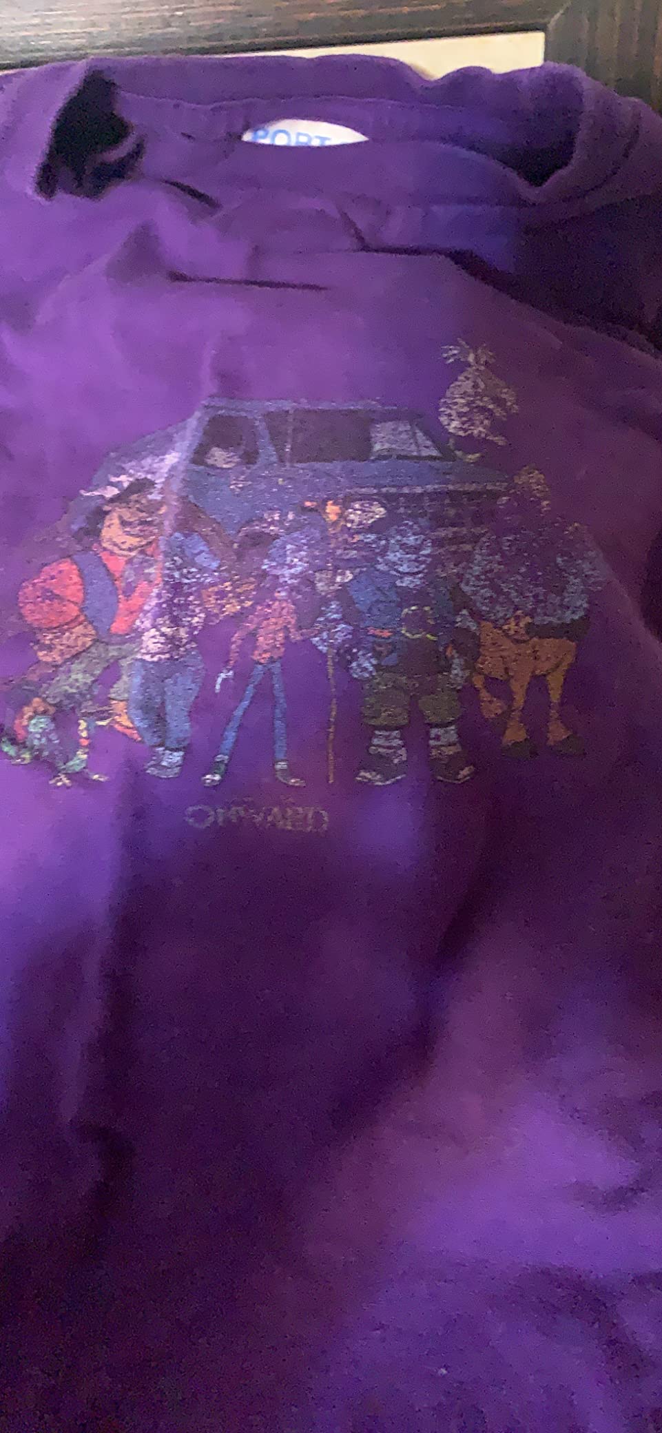 Amazon.com: Disney PIXAR Onward Group Snapshot T-Shirt : Clothing ...