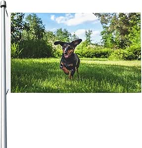 Amazon.com : Dog Flag Dachshunds Flag 3x5 Outdoor Double Sided Popular ...