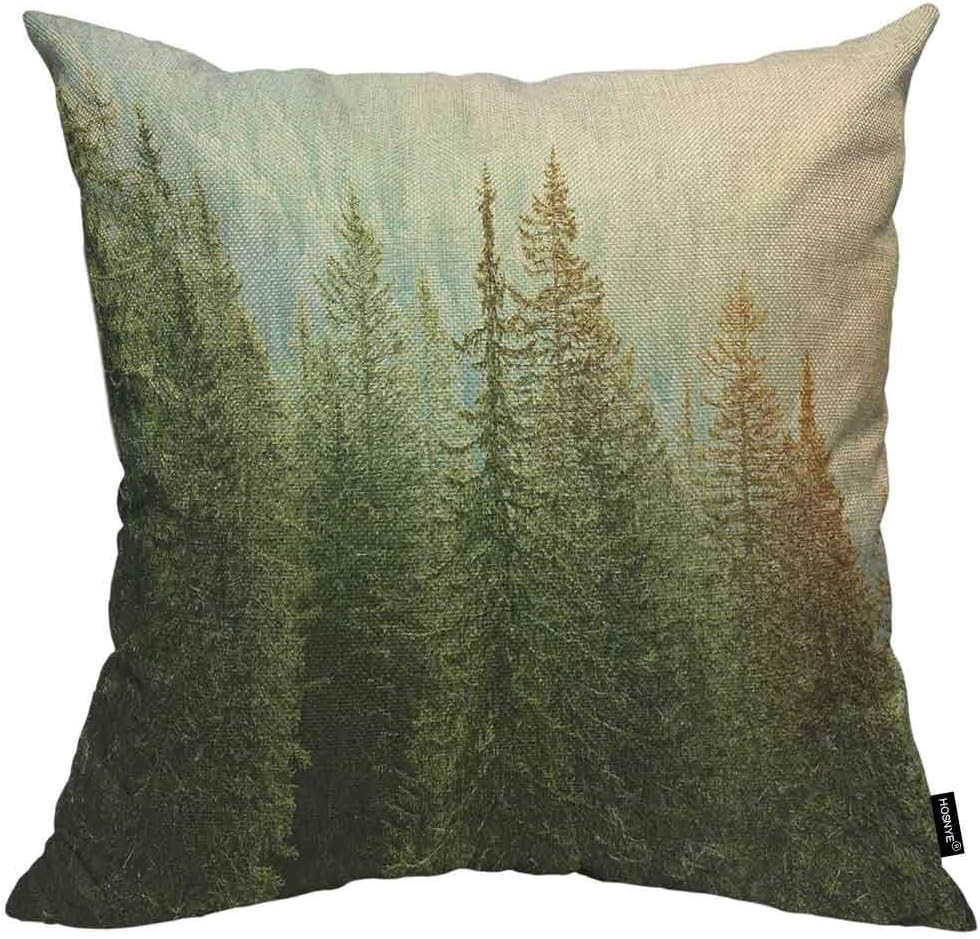 Amazon.com: HOSNYE Fir and Pine Trees Throw Pillow Case 16x16 Healthy ...