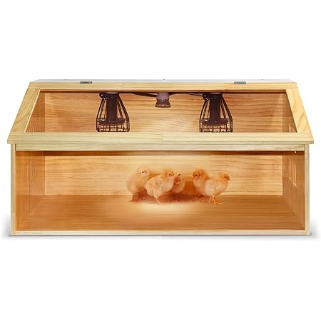 Amazon.com : Little Giant Chick Brooder Box Galvanized Steel Enclosure ...