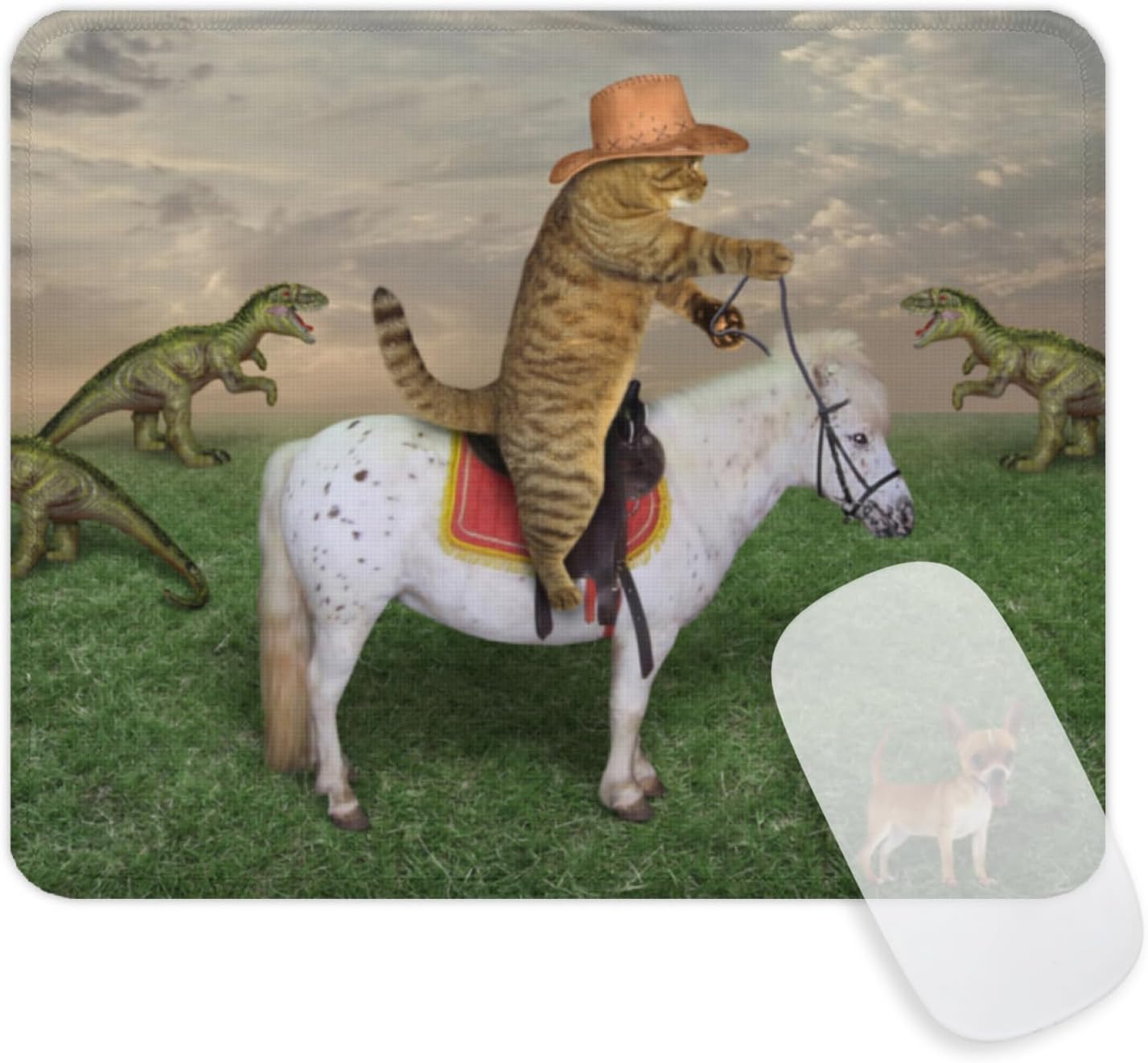 Amazon.com: Funny Cat Square Mouse Pad Cute Cat Small Mousepad for Desk ...