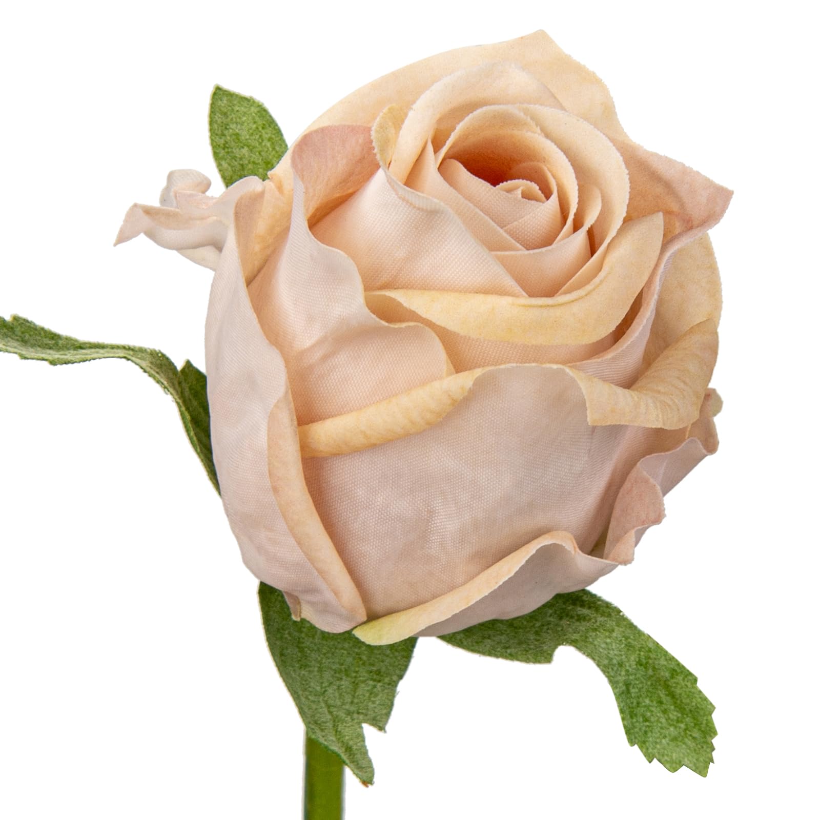 Champagne Colored Roses Stem Spray Roses | Bulk Fresh Spray Roses