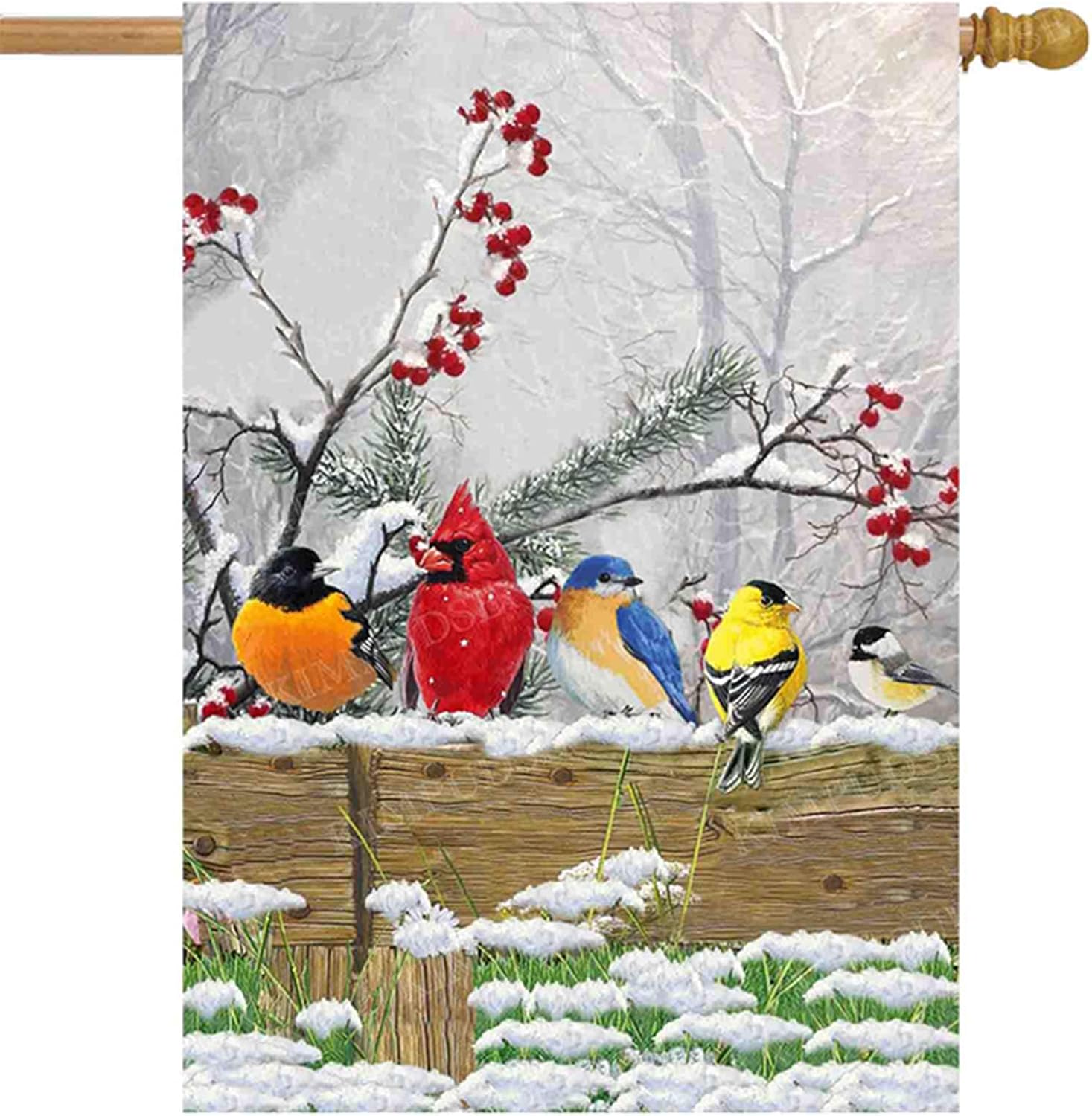 Amazon.com : Winter House Flags for Outside, Cardinal Bird Pine Twigs ...