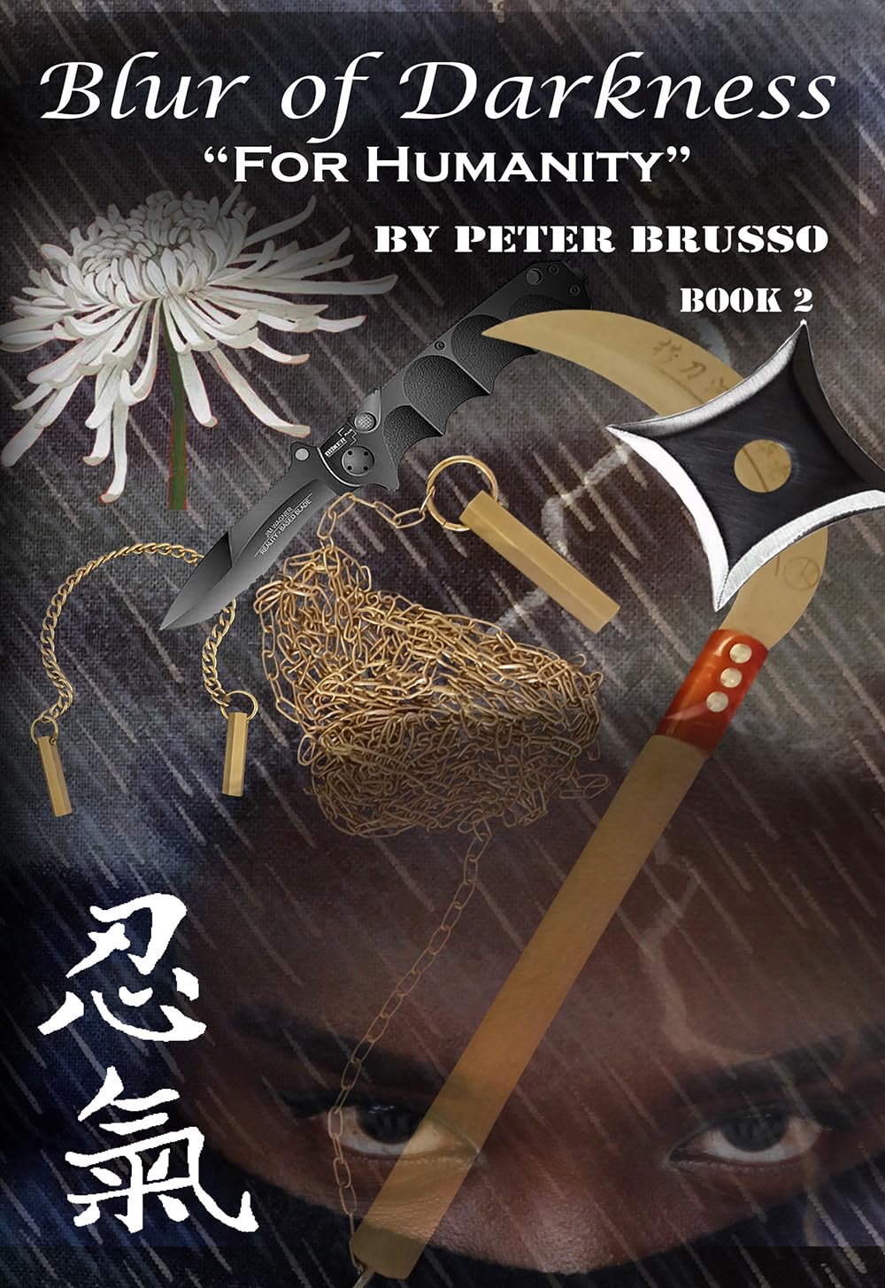 The Blur of Darkness Book 2: For Humanity - Kindle edition by Brusso ...