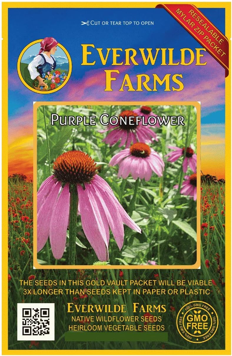 Amazon.com : Everwilde Farms - 1000 Purple Coneflower Native Wildflower ...