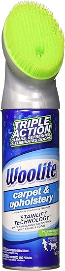 Amazon.com: WOOLITE Cleaner, Carpet & Upholstery, 12 Ounce : Health ...