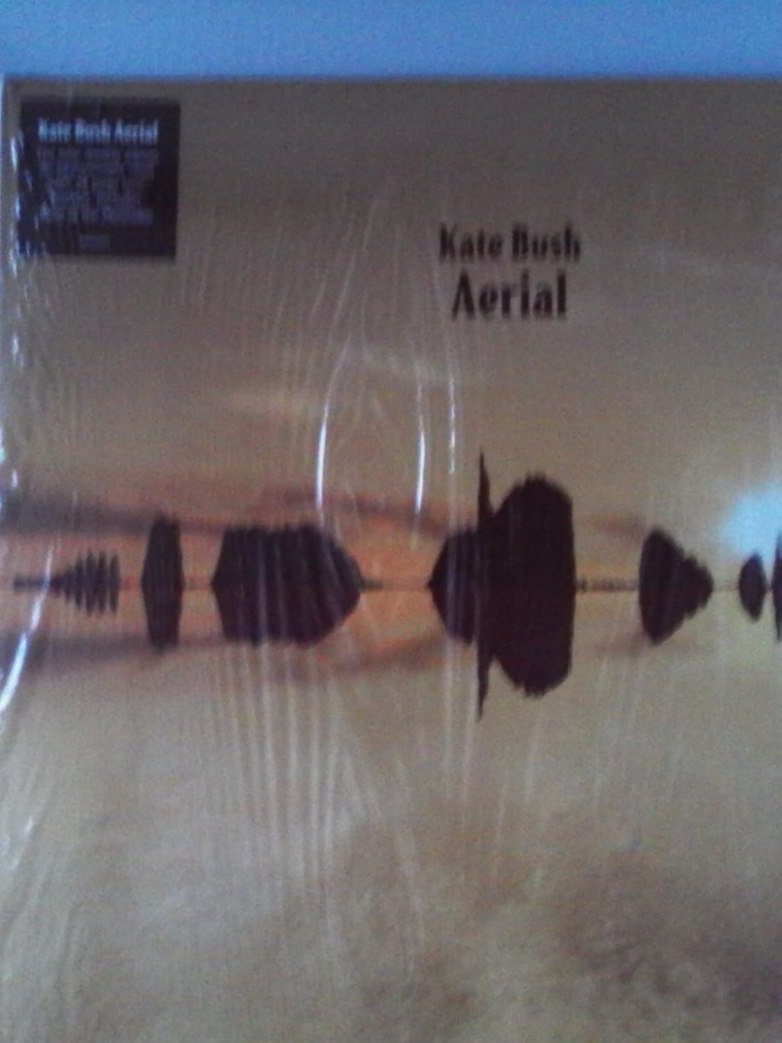Aerial [VINYL] by Kate Bush: Amazon.co.uk: CDs & Vinyl