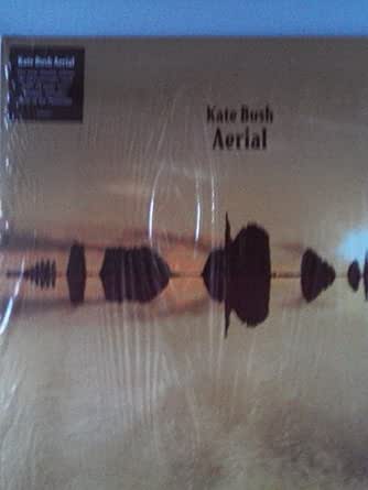 Aerial (Vinyl): Amazon.ca: Music