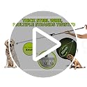 Amazon.com : Dog Catcher Pole, Animal Catch Pole, Animal Control Tool ...