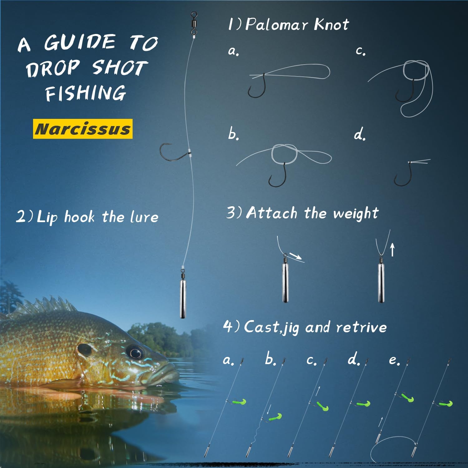 Kit de plaque-forme de tir Narcissus Drop Shot, 10 Maroc | Ubuy