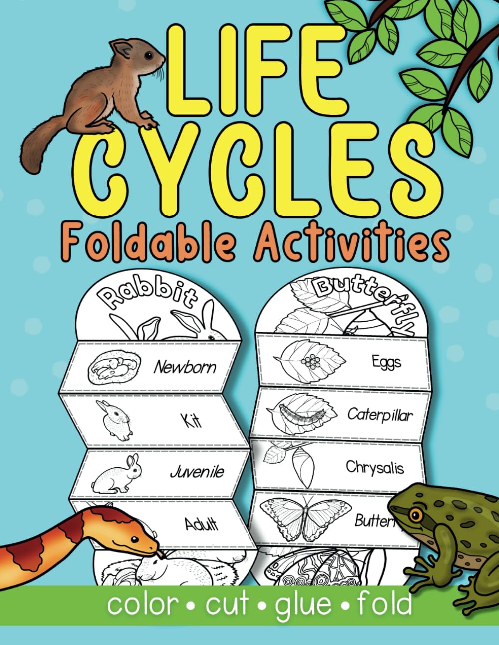 Life Cycles Foldable Activities: Color, cut, glue, and fold to create ...