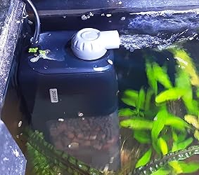 Superfish Filtration Aqua-Flow 300 540L/H : Amazon.co.uk: Pet Supplies