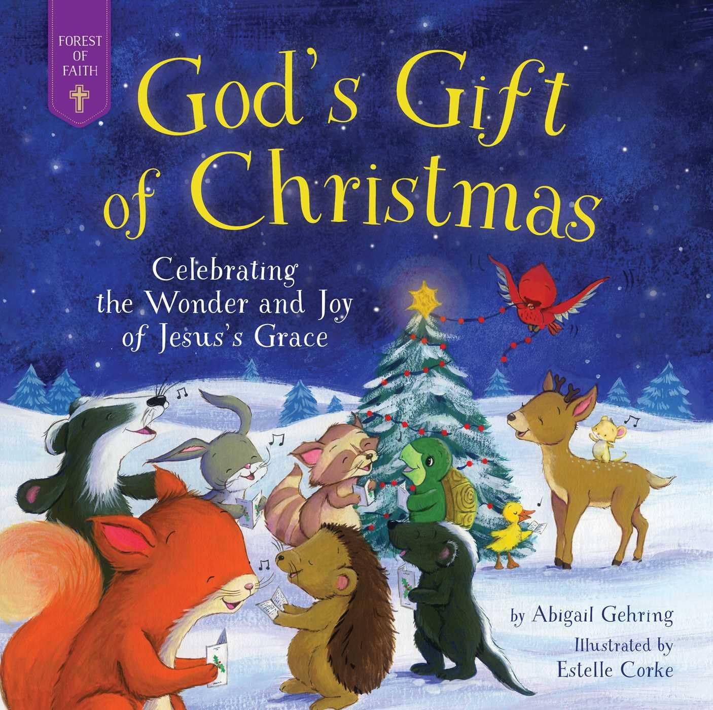 Amazon.com: God's Gift of Christmas: Celebrating the Wonder and Joy of ...