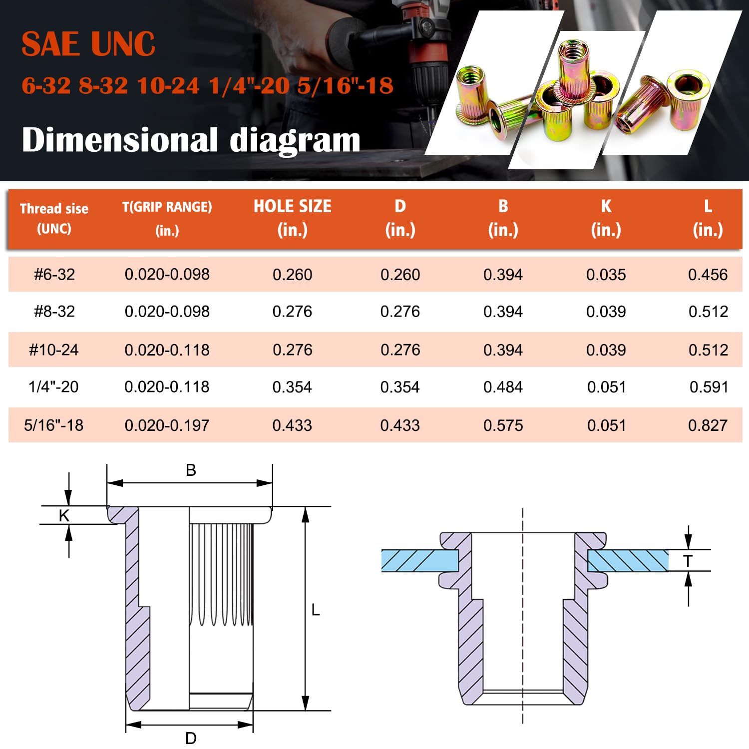 Snapklik.com : 124Pcs SAE UNC Rivet Nut Assortment Kit, Zinc Plated ...