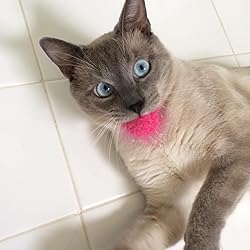 Amazon.com : Cosmic Pet 2.25 Ounce Cup Catnip : Dried Catnip : Pet Supplies