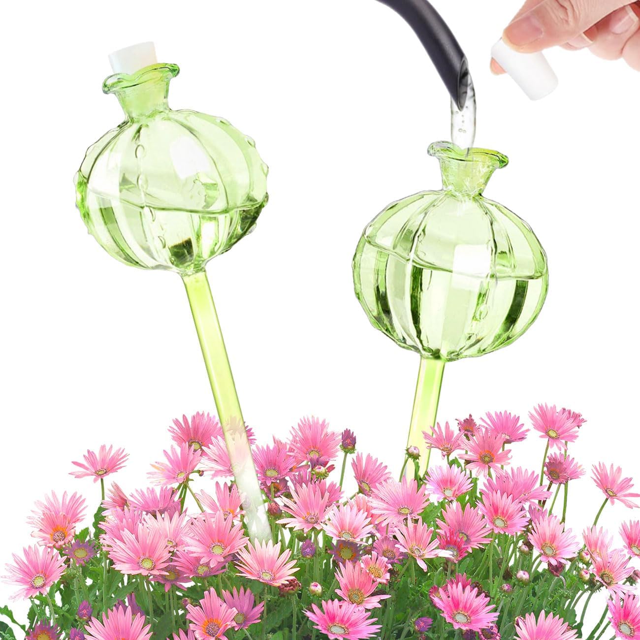 Amazon.com: Mission Gallery Plant Watering Globes Set of 6 - Large Self ...