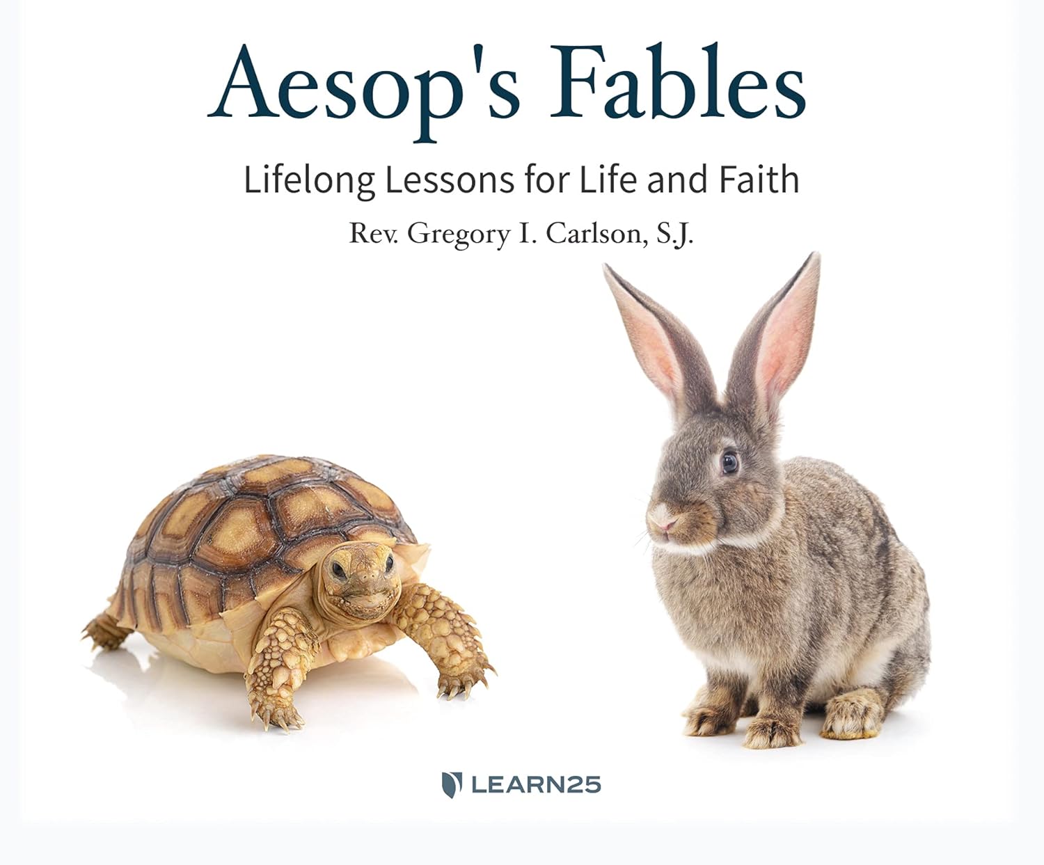 Amazon.com: Aesop's Fables: Lifelong Lessons for Life & Faith ...