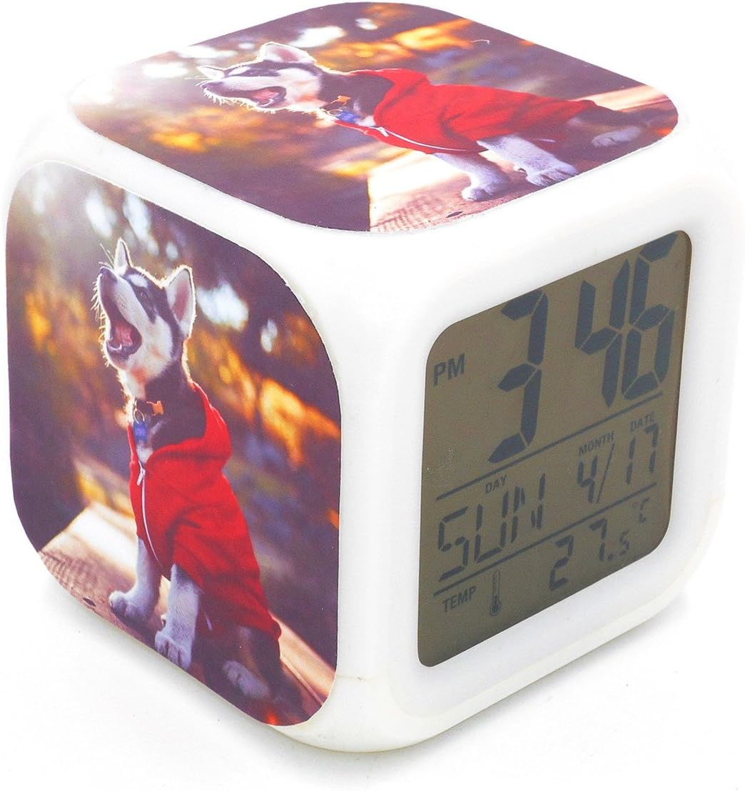 Amazon.com: Boyan New Husky Dog Puppy with Red Clothes Led Alarm Clock ...