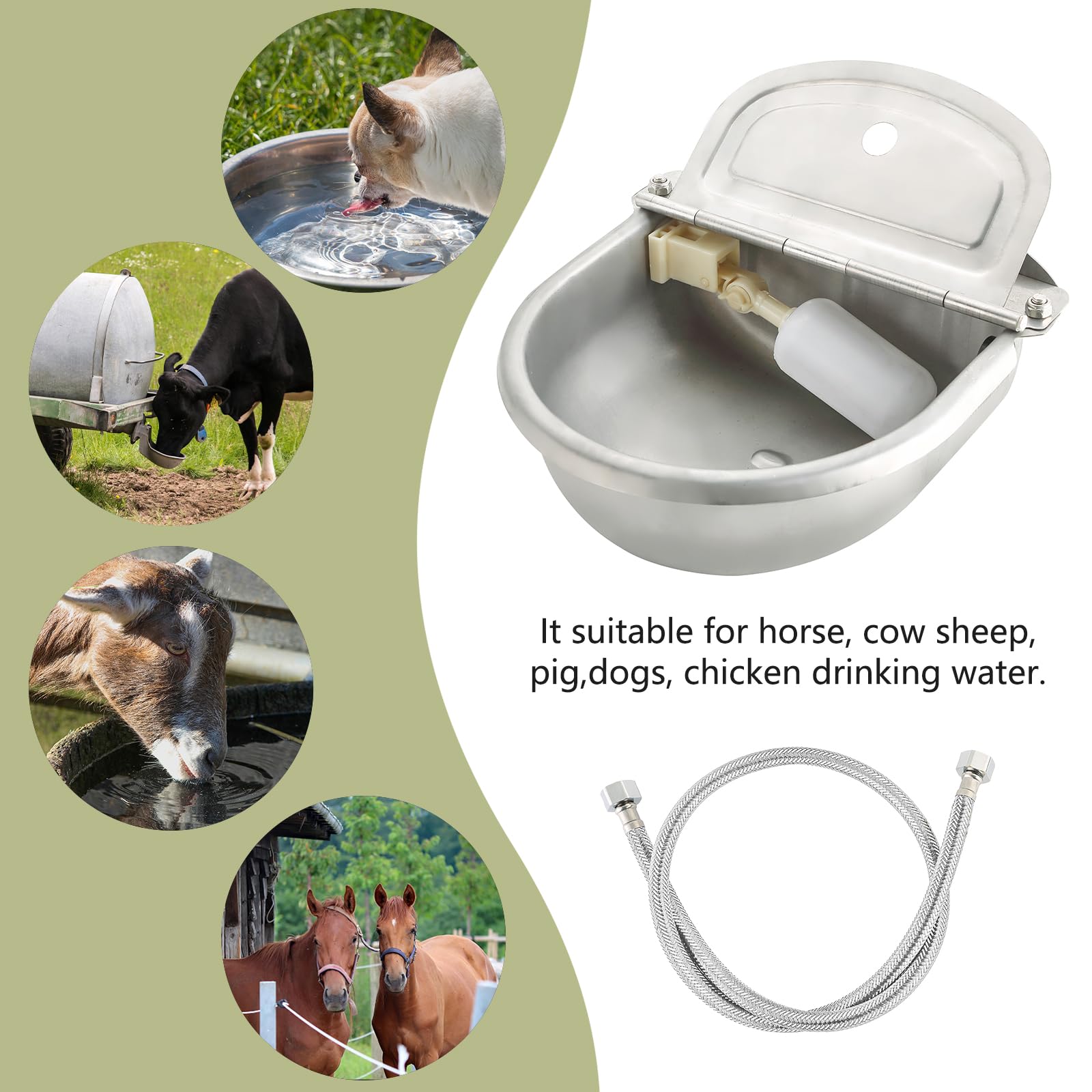 Automatic Horse Waterer NATGAI Automatic Livestock Waterer - Stainless ...
