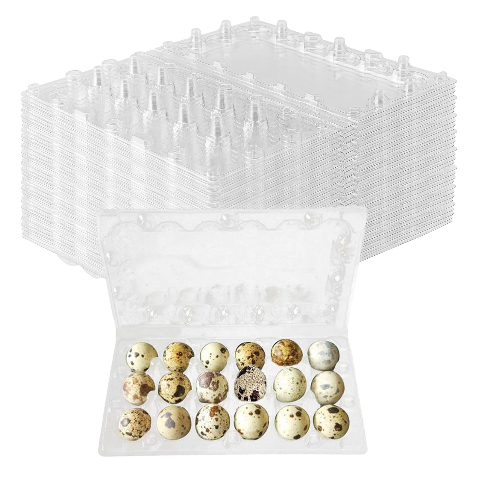 NAMYEUT Pack of 30 Quail Egg Boxes, 18 Plastic, 18 Grid Plastic Quail ...