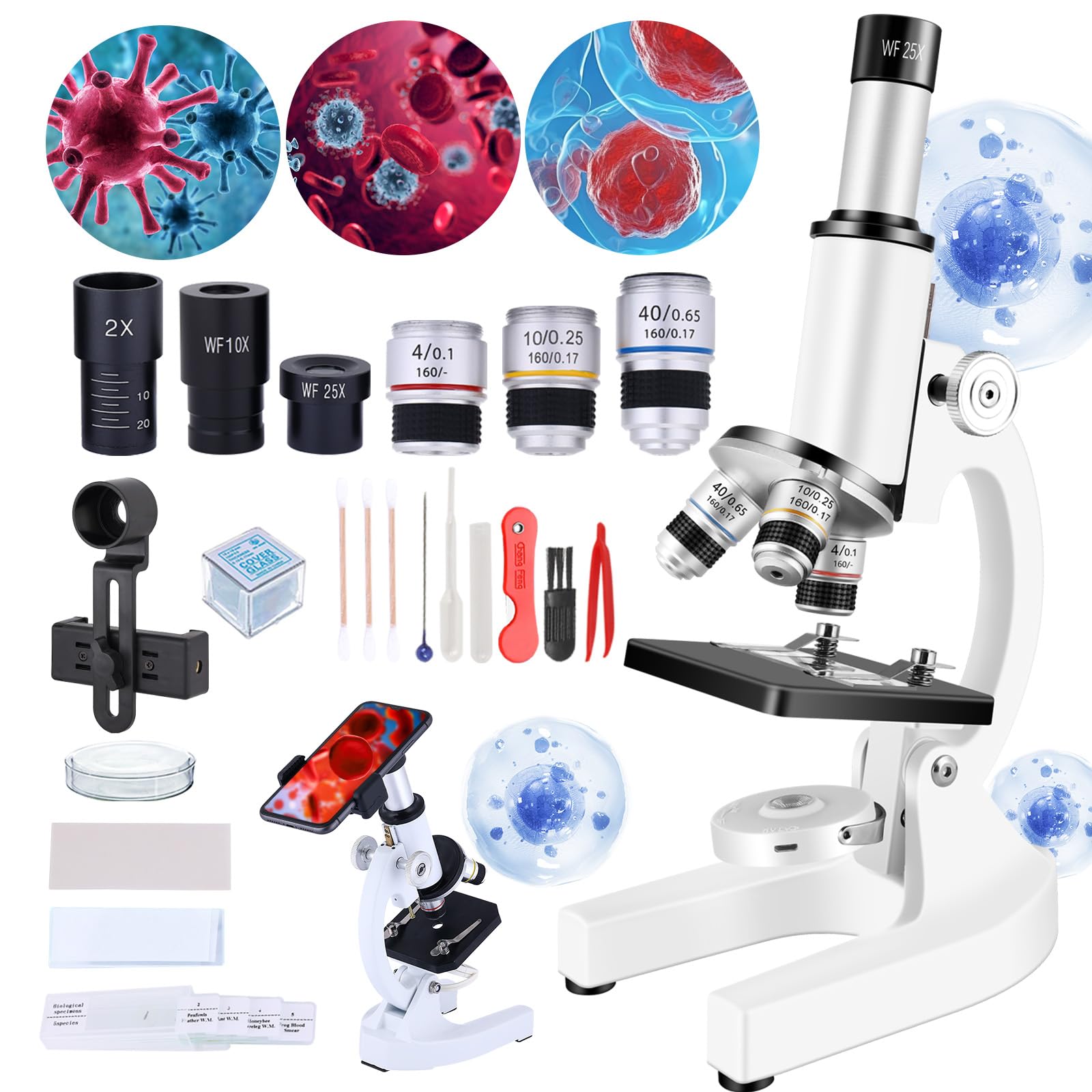 Amazon.com : Poothoh Microscope for Adults Kids 40-2000X Magnification ...