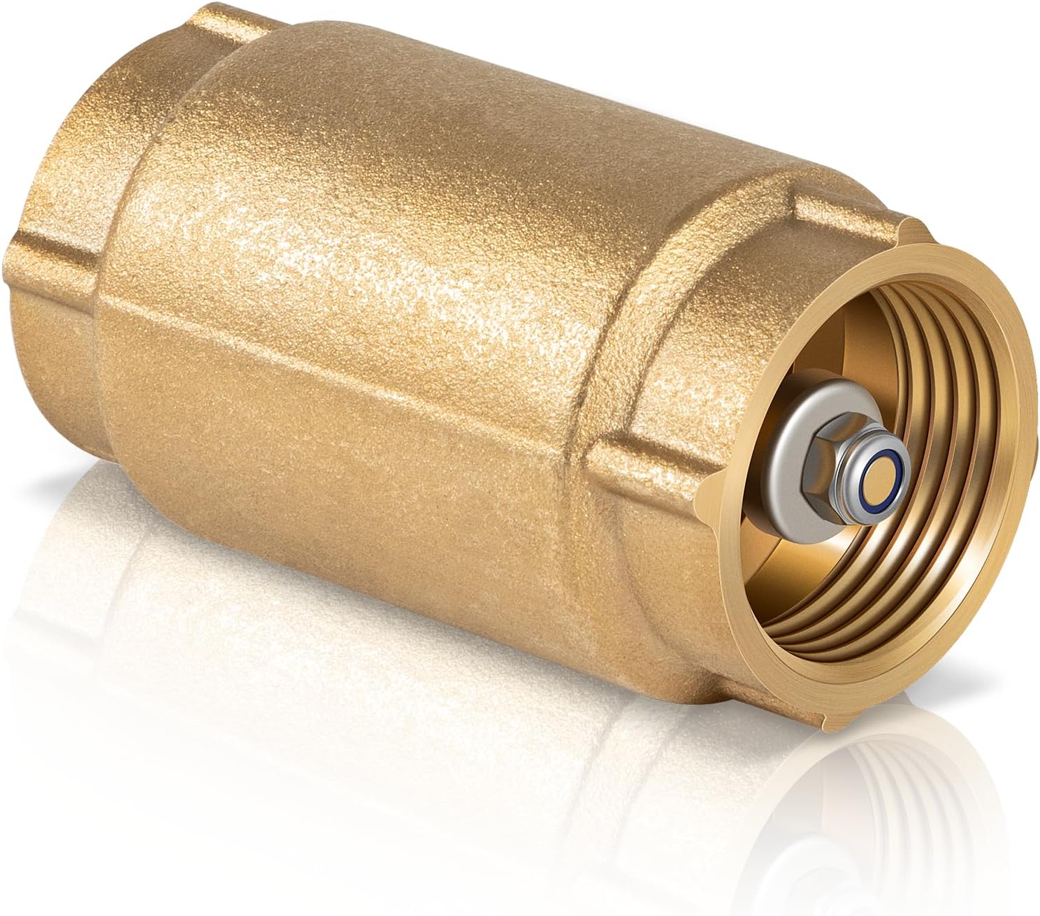 1 inch Check Valve with Backflow Preventer for Merrill CVNL100 700 ...