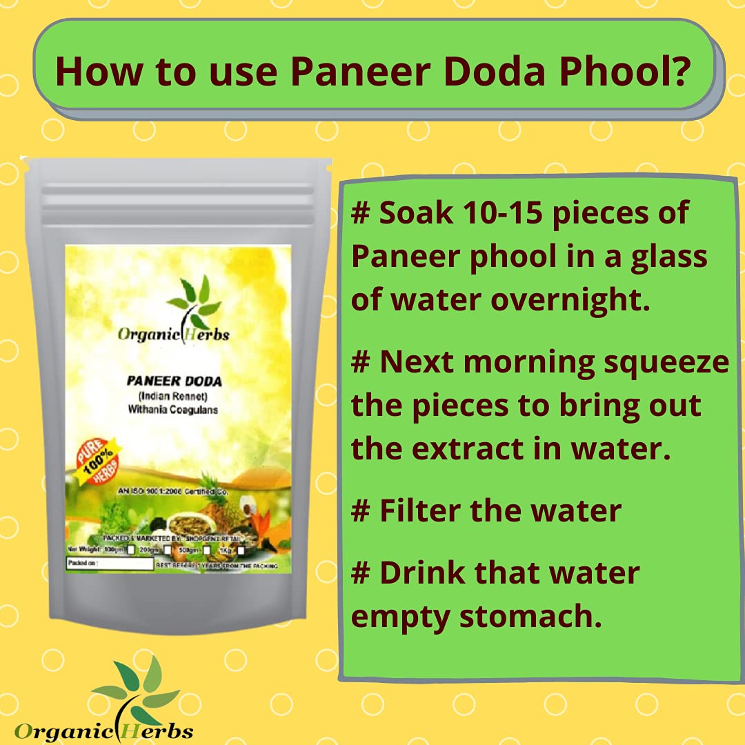 Buy Ayurveda Paneer Phool | Paneer Doda / DODI | Withania Coagulans ...