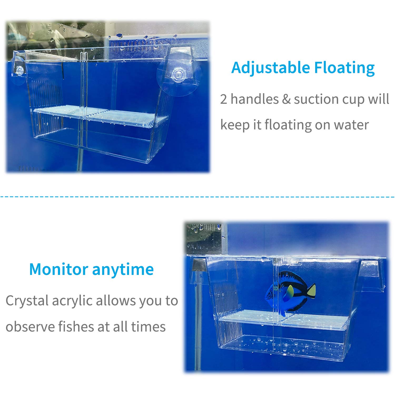 Buy Pawfly Fish Breeding Box Tank Hatchery Incubator Aquarium Isolation ...