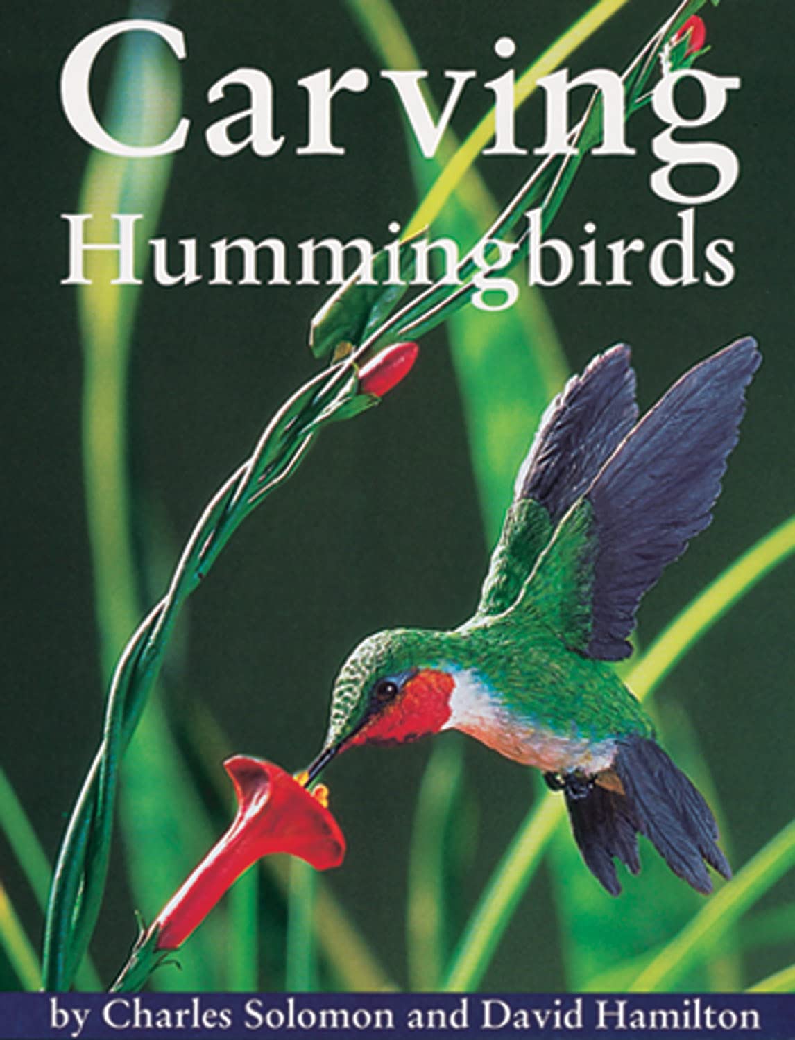 Carving Hummingbirds: Solomon, Charles, Hamilton, David: 9781565230644 ...