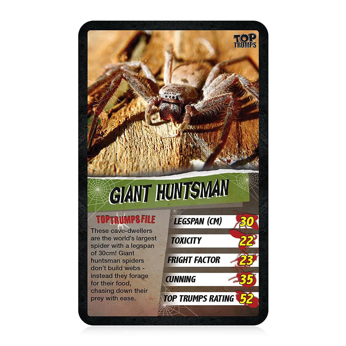 Snapklik.com : Spiders Classics Card Game, Discover Facts About The ...