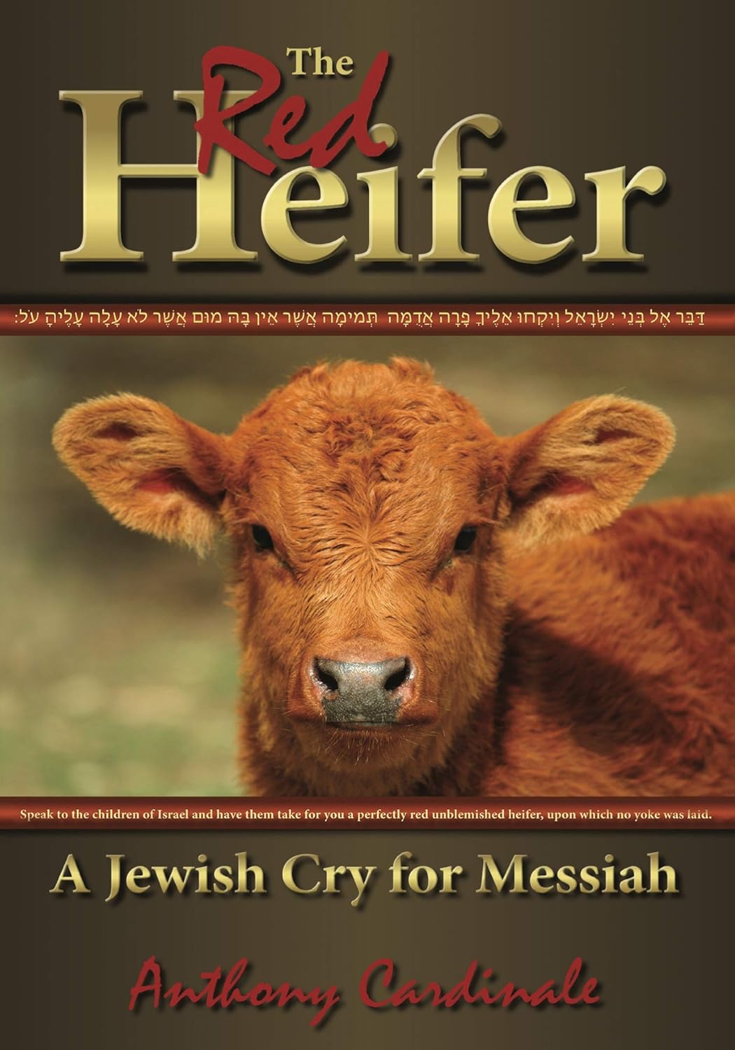 Red Heifer: A Jewish Cry for Messiah : Cardinale, Anthony: Amazon.com ...