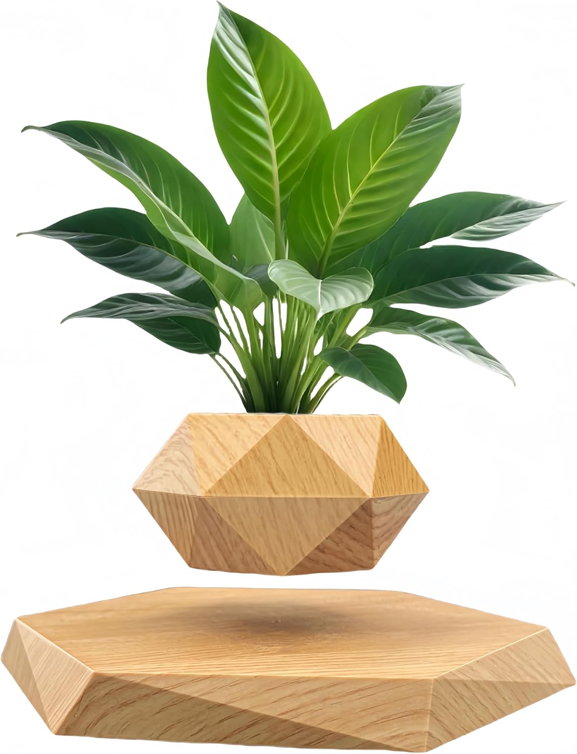 Amazon.com : Levitating Plant Pot, Floating Plant Pot Small Floating ...