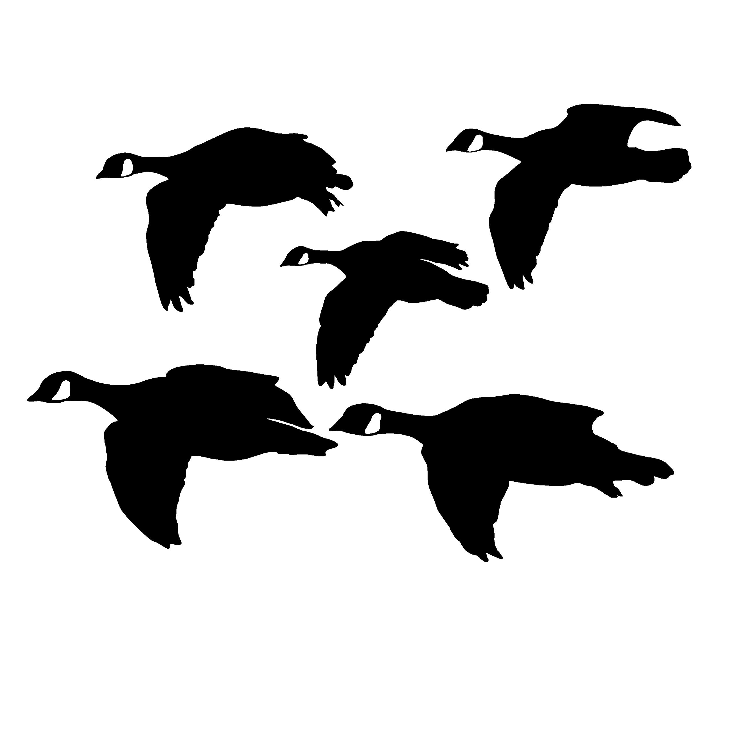 Goose Hunting Decals 380+ Silhouette Of A Goose Hunting Stock