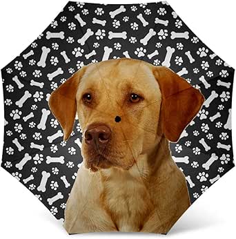 Amazon.com: Design Dog Paws Umbrella With Dudley Labrador Retriever Dog ...