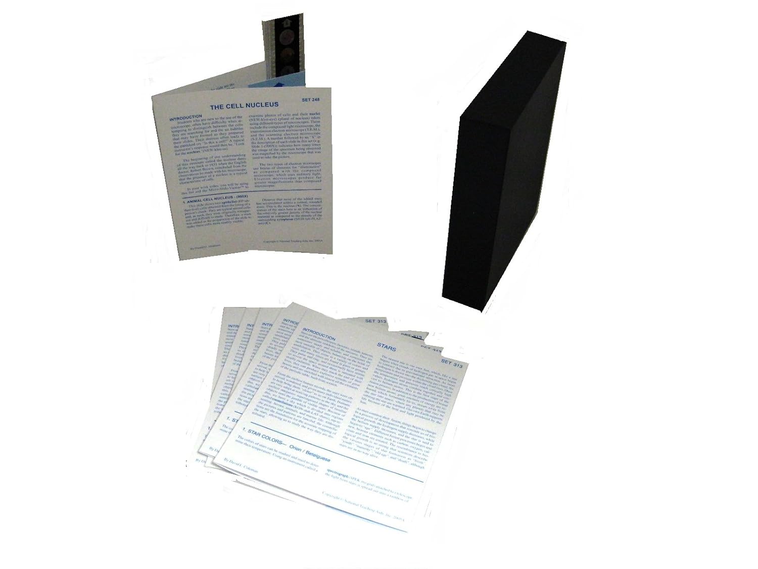 American Educational Microslide Cell Nucleus Lesson Set (Box of 30 ...