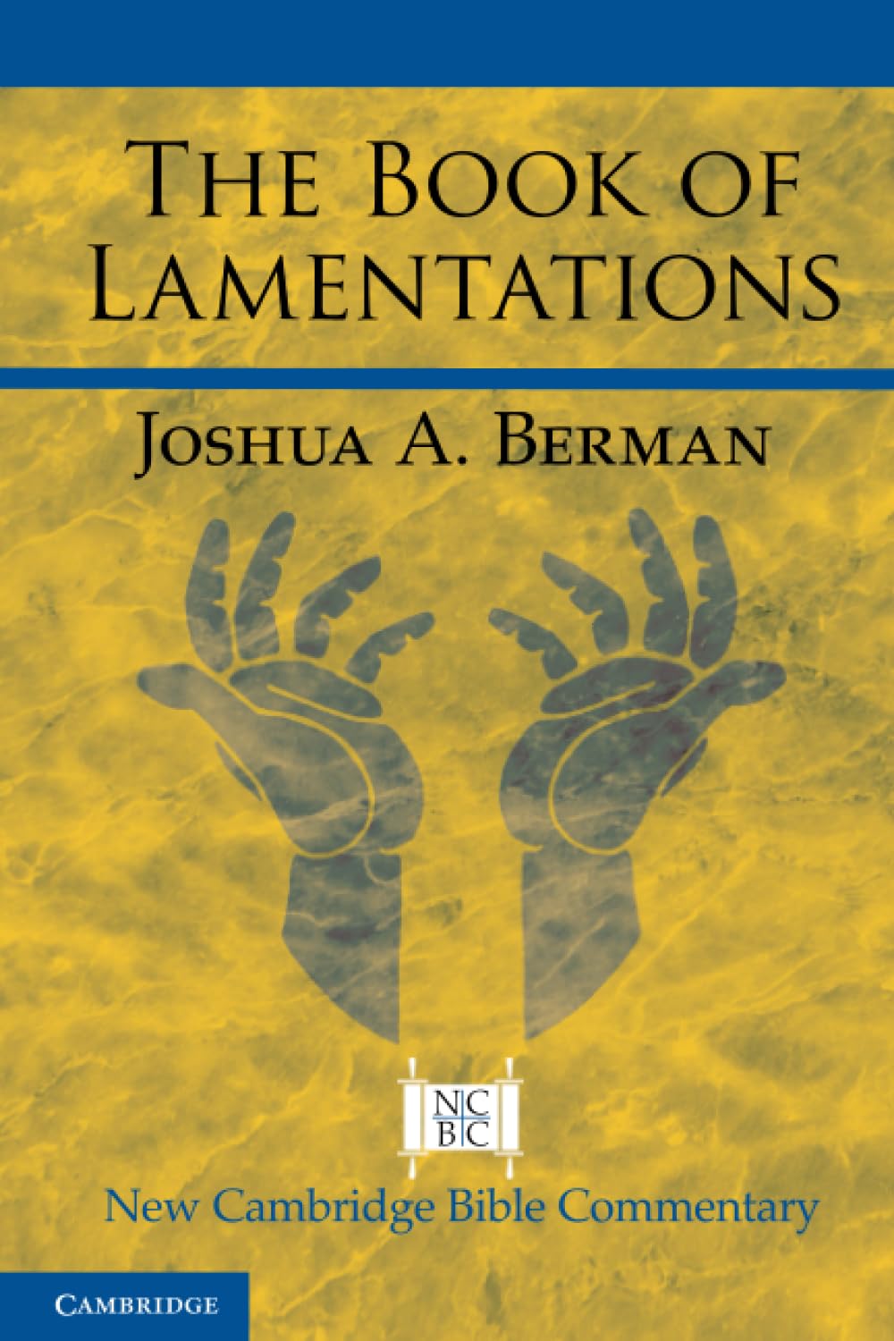 The Book of Lamentations (New Cambridge Bible Commentary): Amazon.co.uk ...