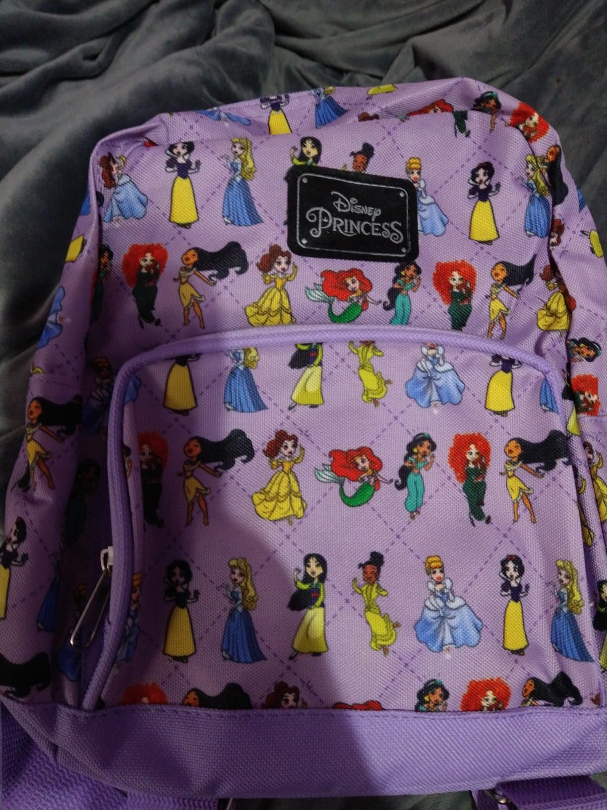 Amazon.com | Fast Forward New York Disney Princess Preschool Backpack ...