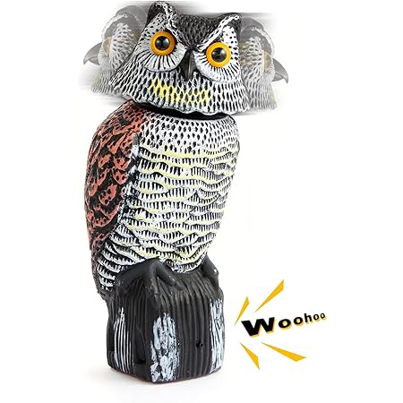 Amazon.com: XYSFUZD Fake Owl Decor with Moving Head and Sound Plastic ...