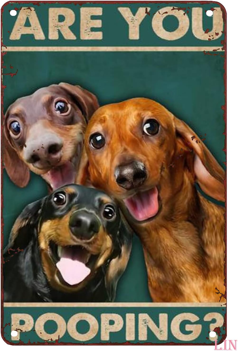 Amazon.com: Funny Metal Signs Decor Dachshund Are You Pooping Restroom ...