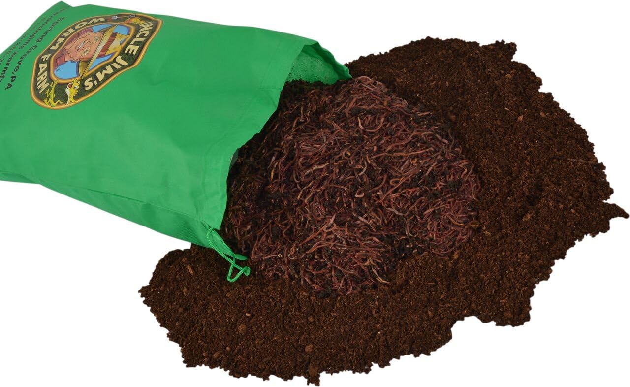 Uncle Jims Worm Farm Incluye 2000 gusanos wiggler rojos vivos – Yaxa ...