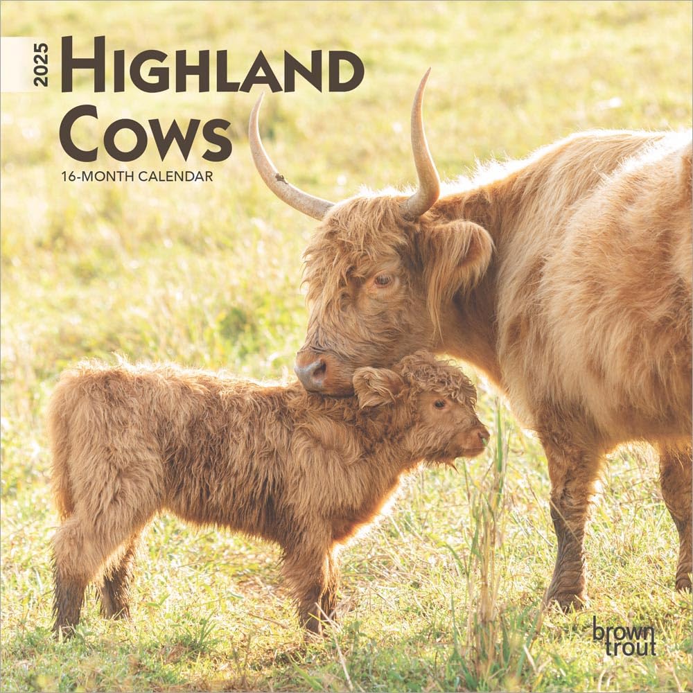Snapklik.com : Highland Cows 2025 7 X 14 Inch Monthly Mini Wall ...