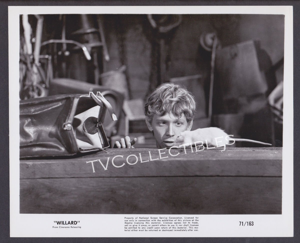 Bruce Davison Willard