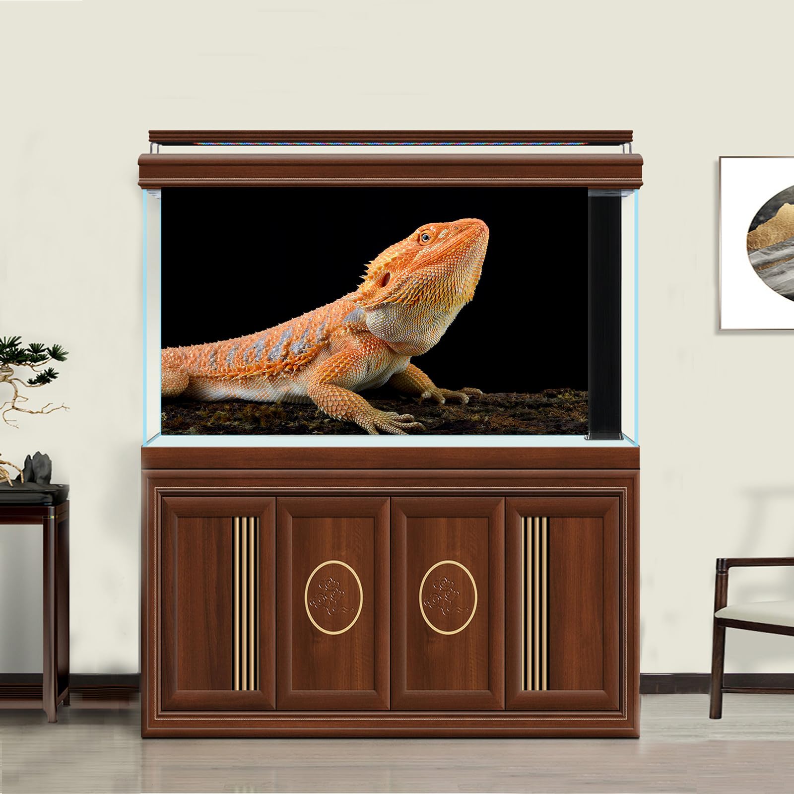 Bearded Dragon Vivarium Backgrounds