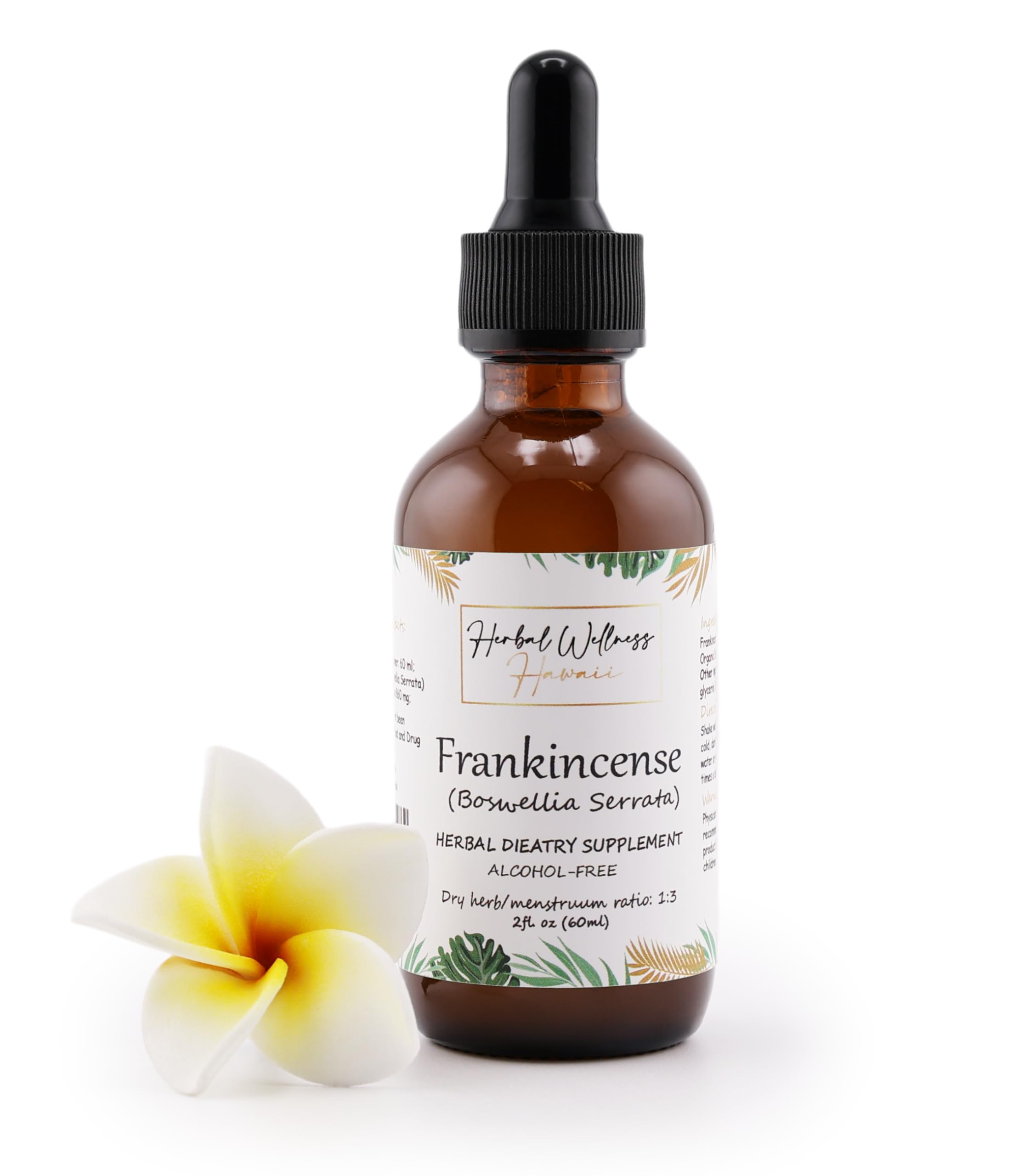 Amazon.com: Frankincense Liquid Extract - Herbal Wellness Supplement ...