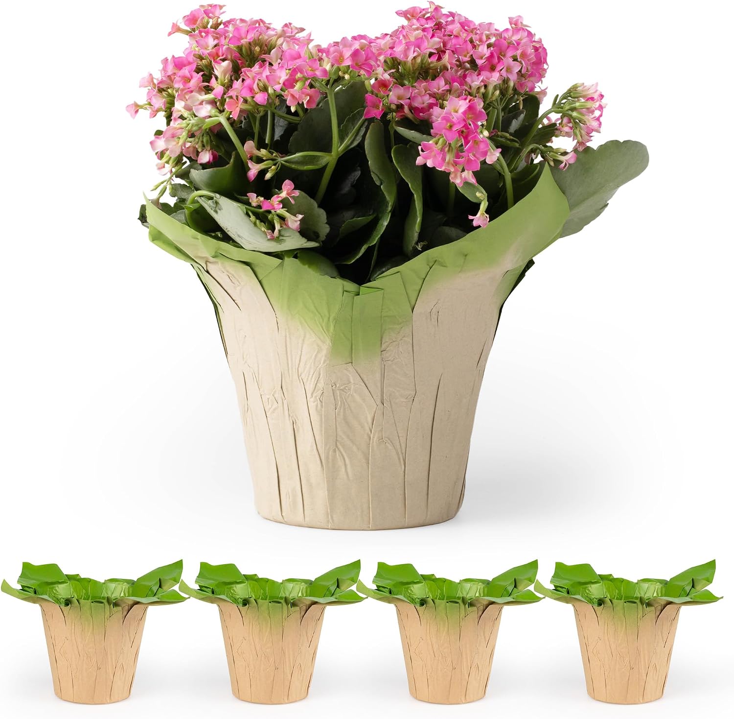 Amazon.com : the florist Supply 4.5” STD Plant Pot Covers, FSC ...