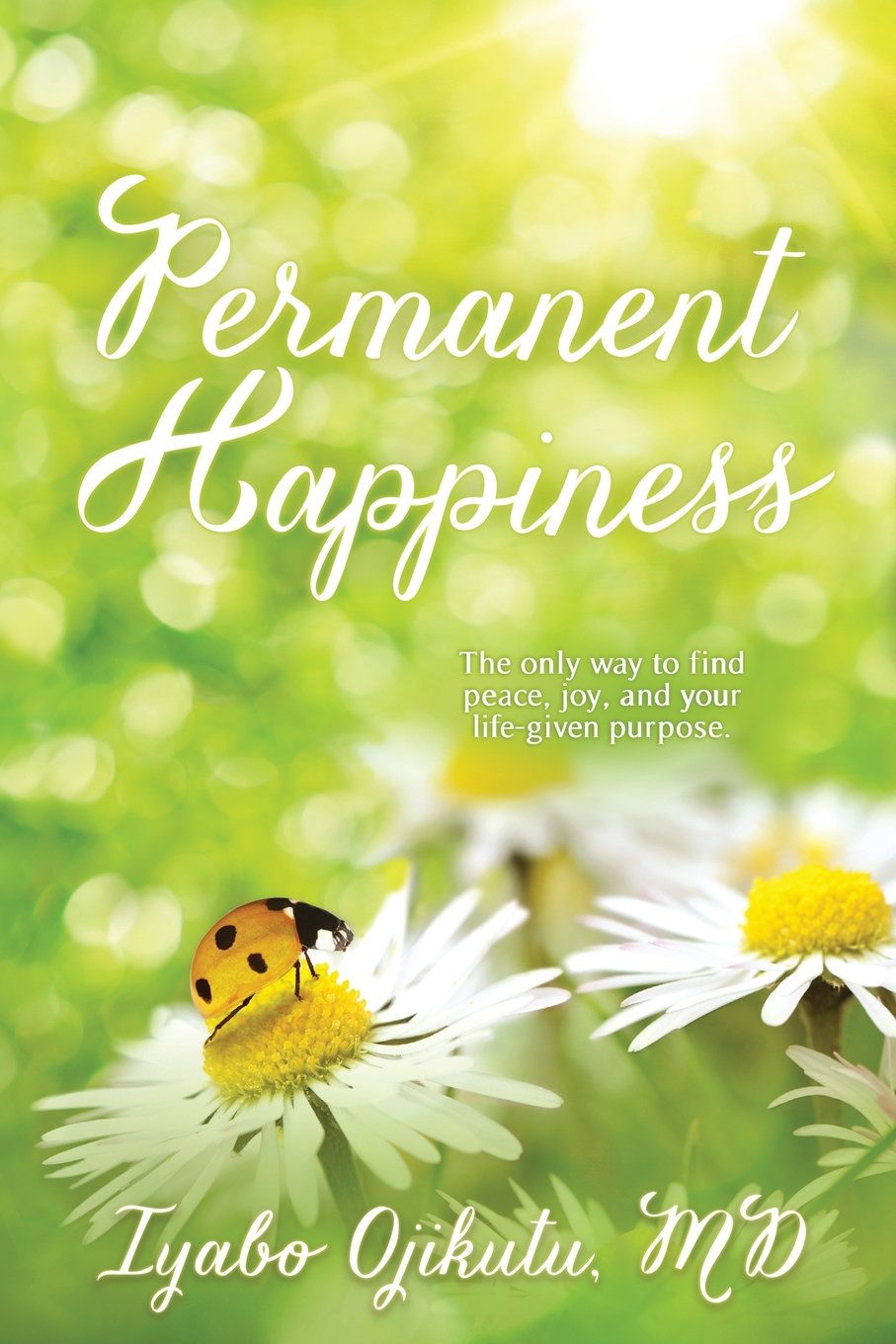 Permanent Happiness: The only way to find peace, joy, and your life ...