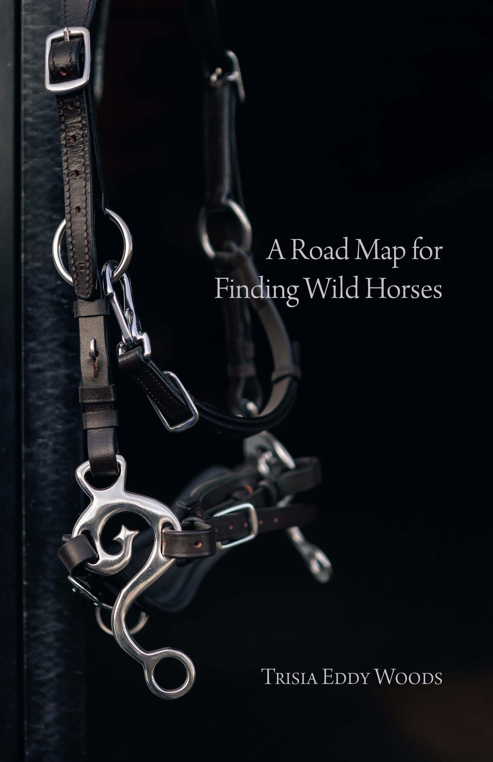 A Road Map for Finding Wild Horses : Eddy Woods, Trisia: Amazon.ca: Books