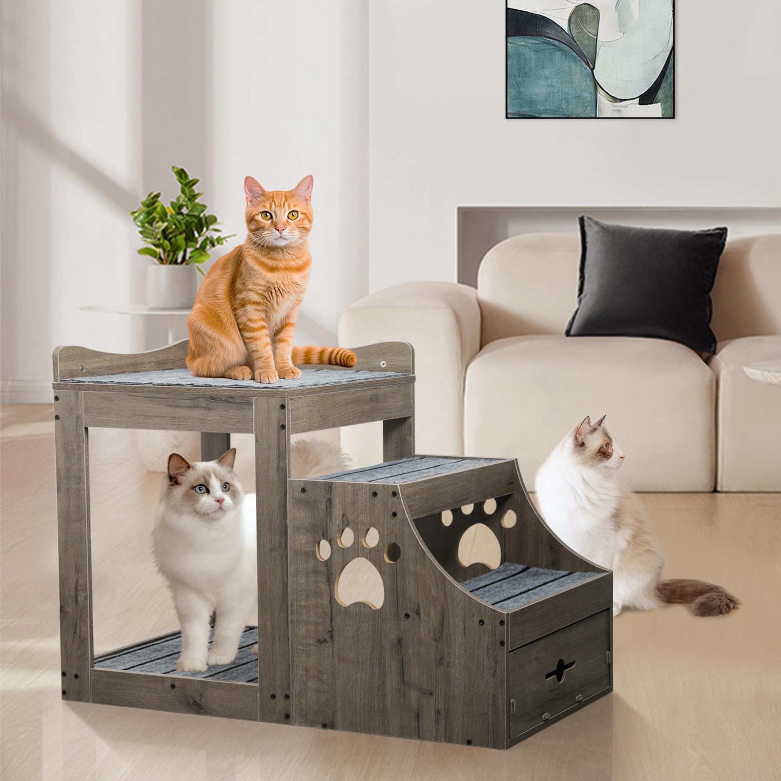 Amazon.com : Pet Window Perch with Stairs, Super Large Pet Bunk Bed for ...